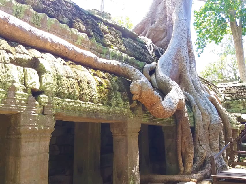 Angkor Wat Sunrise & Highlight Temples Private Guided Tour | GetYourGuide