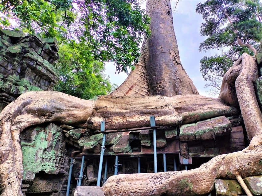 Angkor Wat Sunrise & Highlight Temples Private Guided Tour | GetYourGuide