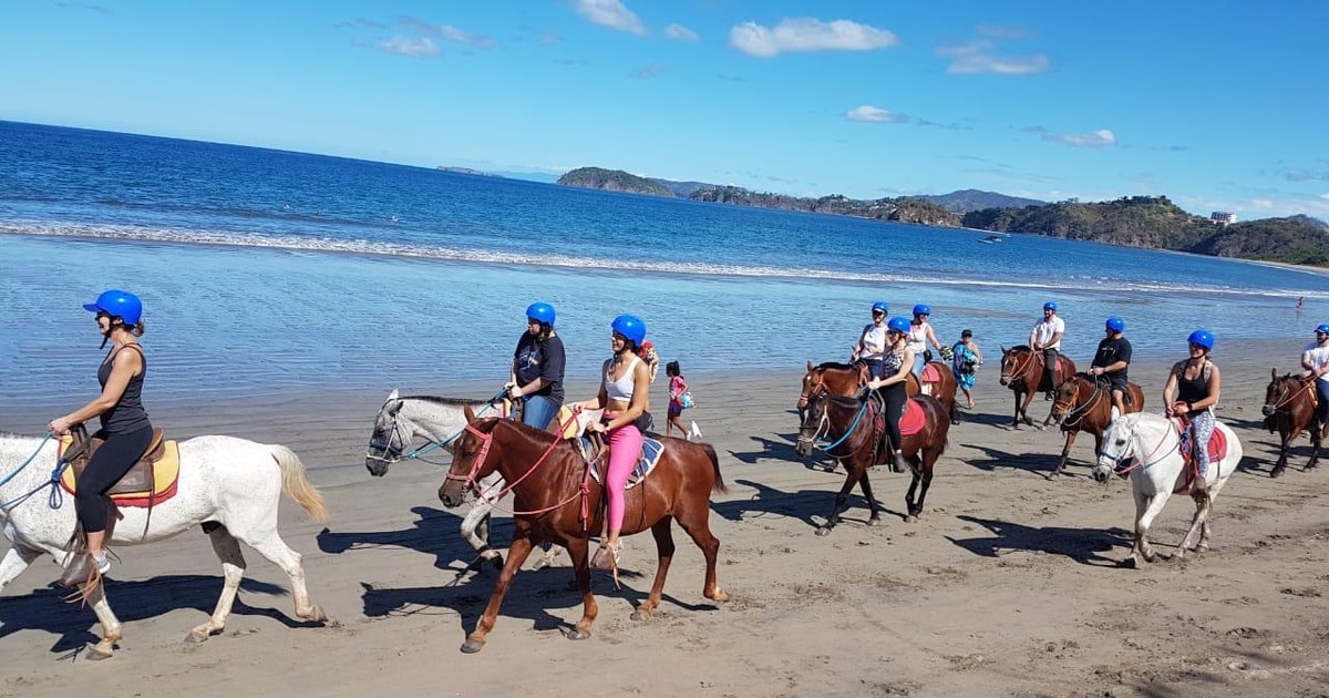 Horseback Riding Tours | GetYourGuide