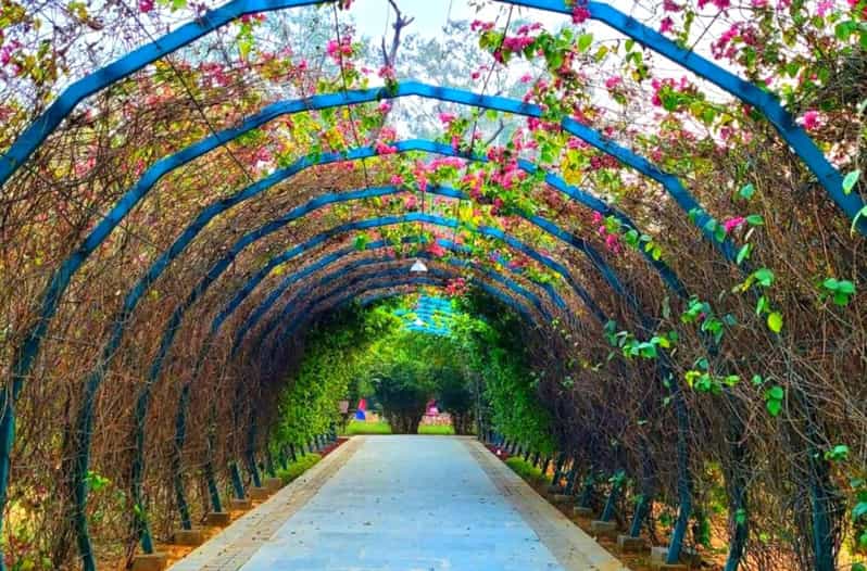 Excursion tour of Rajgir & Nalanda from Bodhgaya | GetYourGuide