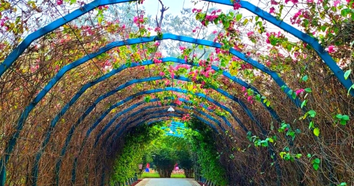 Excursion tour of Rajgir & Nalanda from Bodhgaya | GetYourGuide