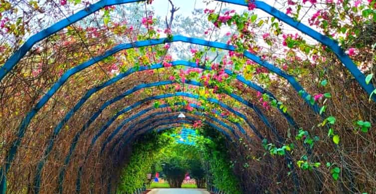 The BEST Rajgir Tours and Things to Do in 2024 - FREE Cancellation ...