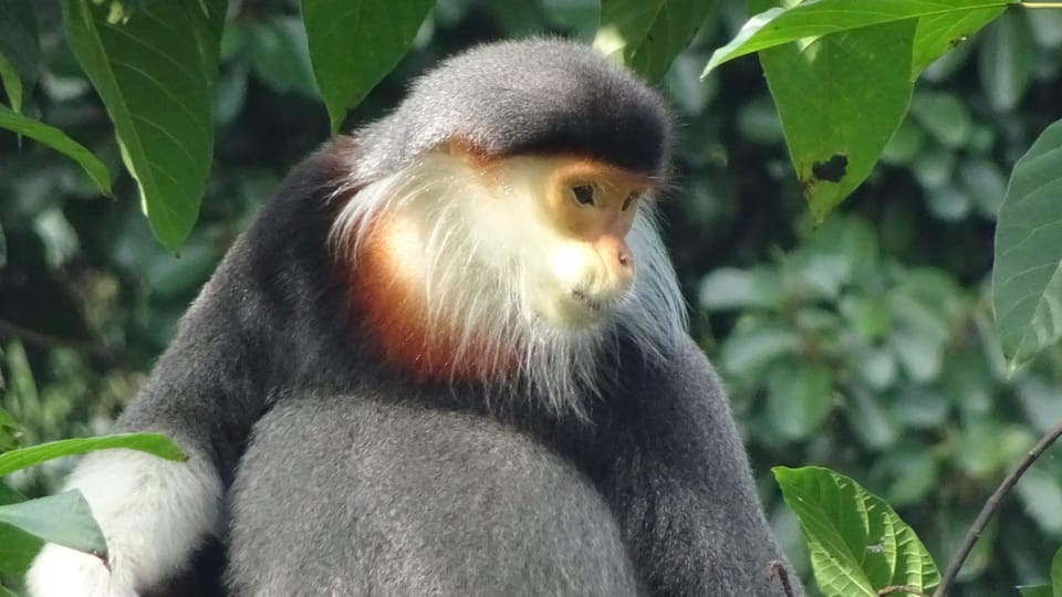 From Da Nang: Monkey Mountain Hidden Gems Full-Day Tour | GetYourGuide