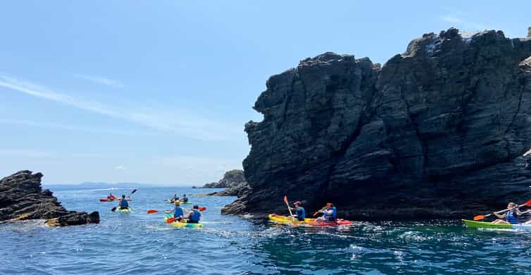 Cala Murtra, Costa Brava - Book Tickets & Tours | GetYourGuide