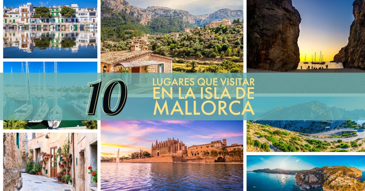 Mallorca Highlights Tour: Palma City, Tapas, Bazaar, Beach | GetYourGuide