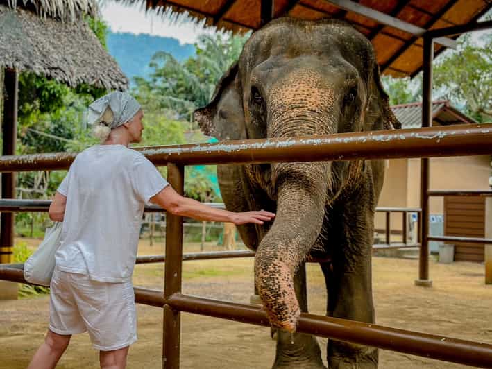 Samui: Guided Iocal Tour with Elephant Home Sanctuary Visit | GetYourGuide