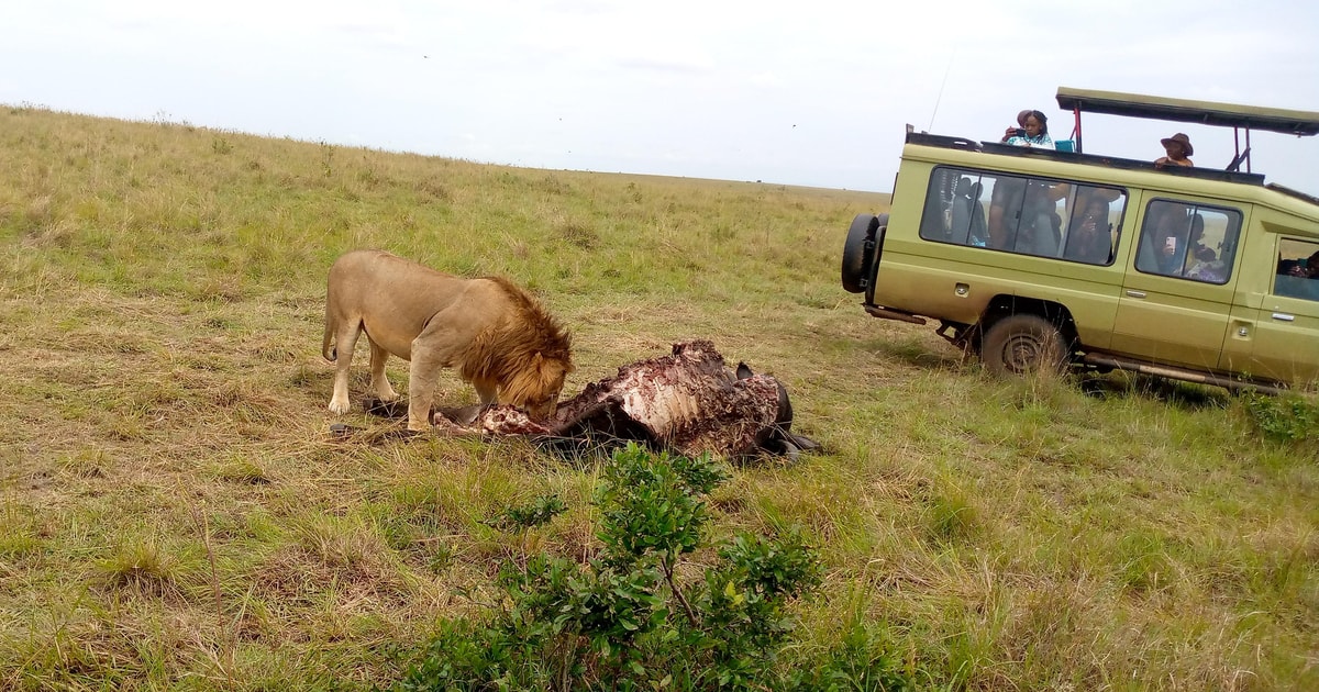 Lake Nakuru 2 Days 1 Night Safari. | GetYourGuide