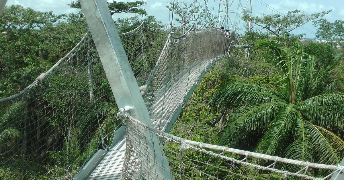 Lekki Conservation Center Extraordinary Tour | GetYourGuide