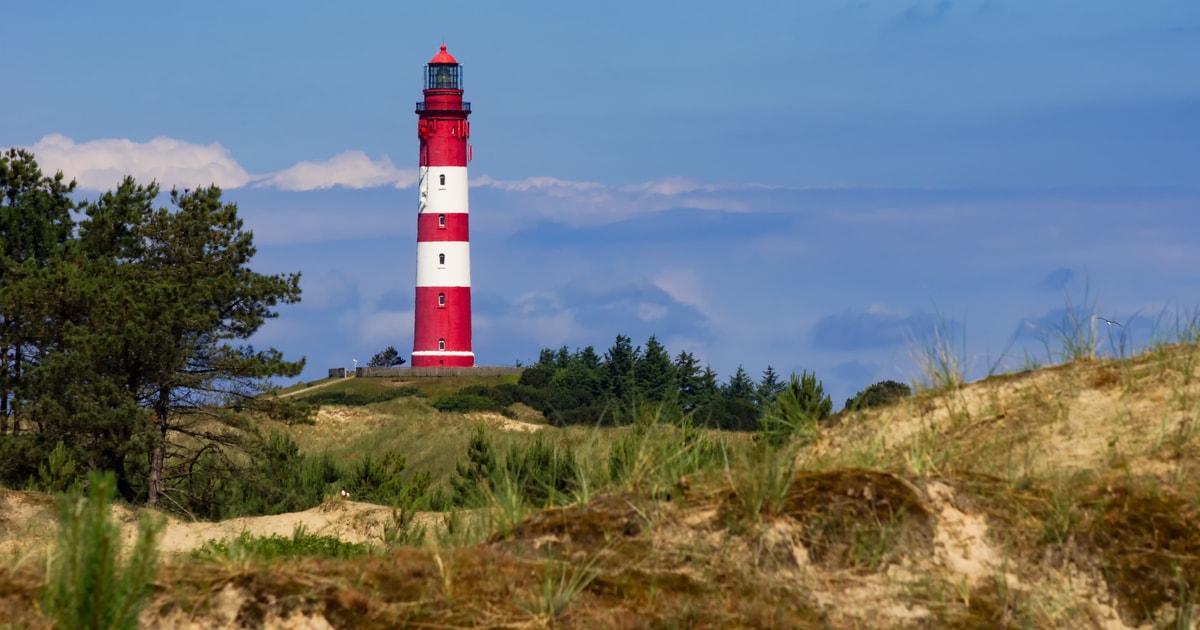 Sylt: Boat tour to island of Amrum | GetYourGuide