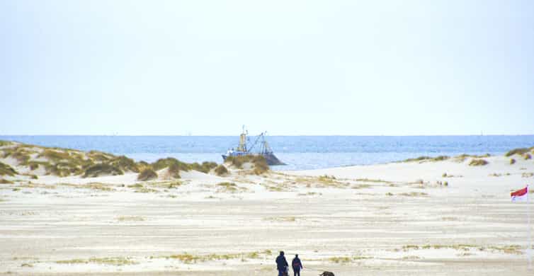 Sylt: Boat tour to island of Amrum | GetYourGuide