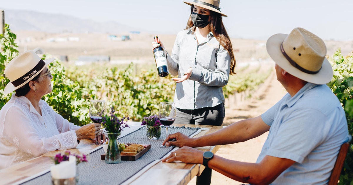 Degustación Y Recorrido Por El Viñedo Getyourguide