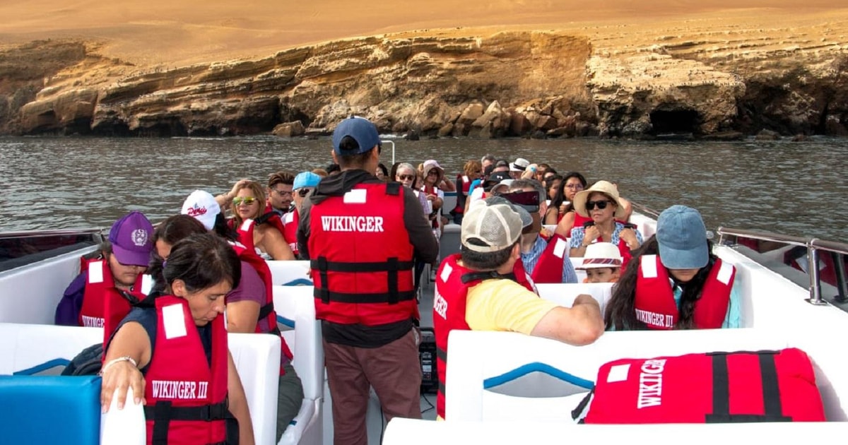 From San Martin Port: Ballestas Island & Paracas Reserve | GetYourGuide