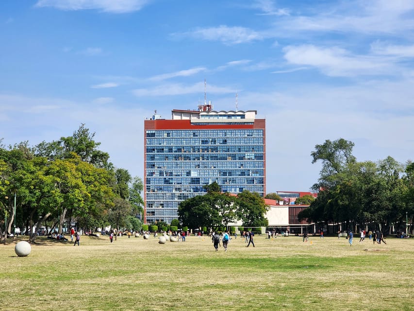 Walk around UNAM campus, a UNESCO World Heritage Site | GetYourGuide