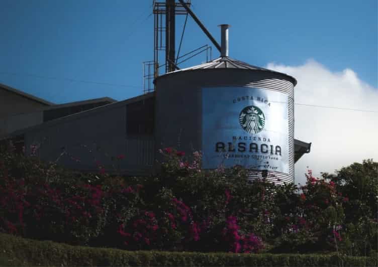 From San José: Poas Volcano and Alsacia Coffe Farm | GetYourGuide