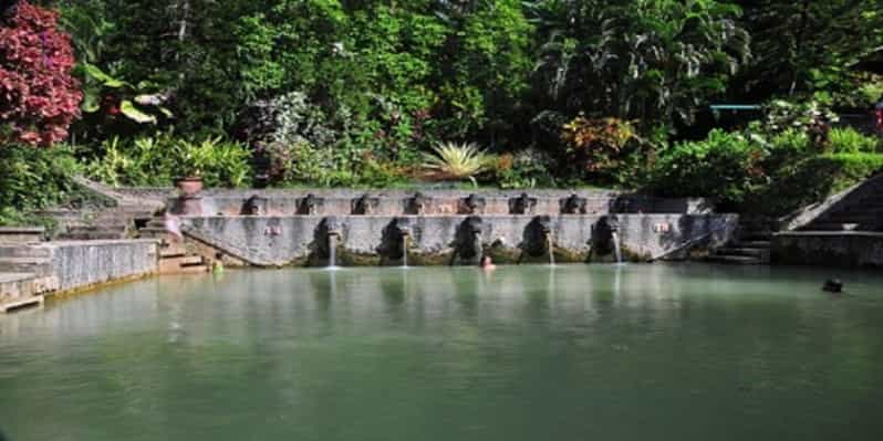 Ubud: Dolphin Watching, Snorkeling & Hot Springs Day Cruise | GetYourGuide