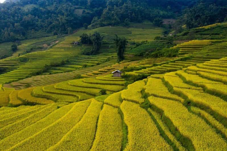 Sa Pa: Local Ethnic Villages Trekking Tour 1 day | GetYourGuide