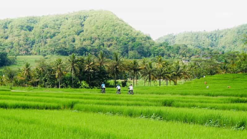 Village Cycling Tour in Nanggulan | GetYourGuide