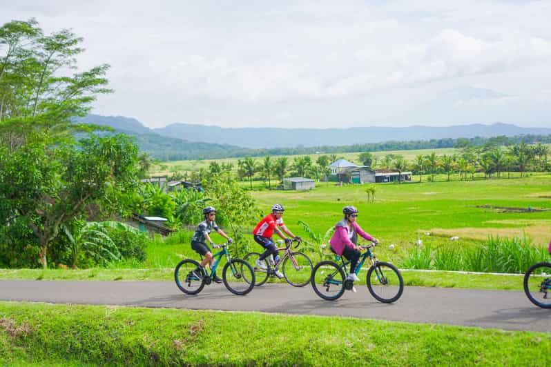 Village Cycling Tour in Nanggulan | GetYourGuide