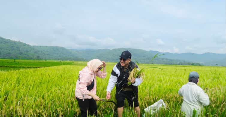 Village Cycling Tour in Nanggulan | GetYourGuide