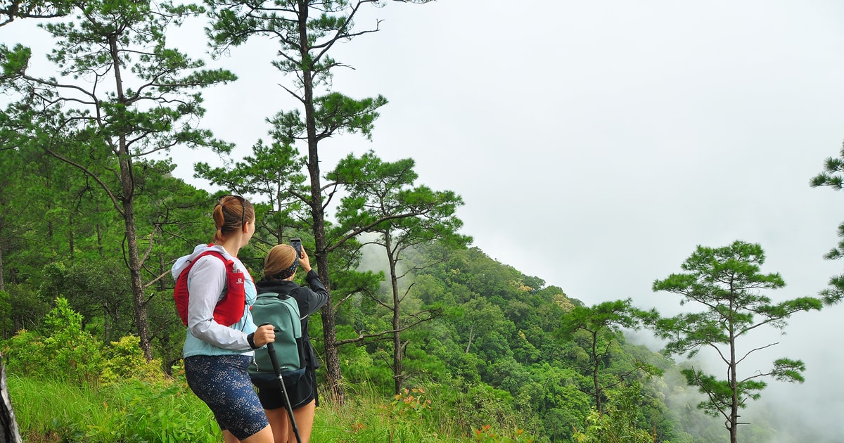 Chiang Mai: Full-Day Hiking Tour by Trailhead | GetYourGuide