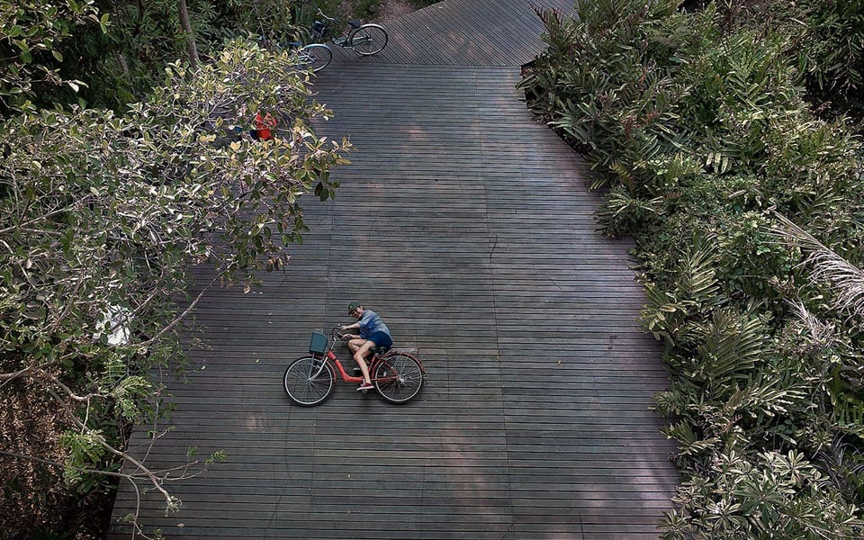 Bangkok: Private Tour Bang Kachao und Bang Nam Phueng | GetYourGuide