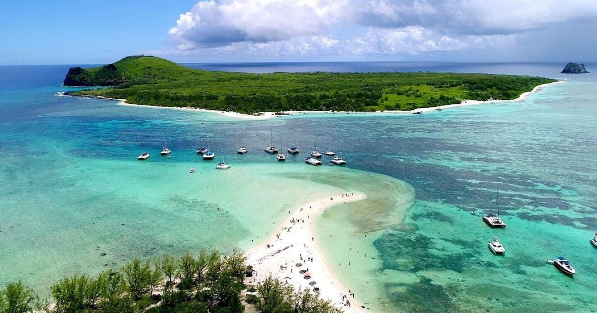 Grand Bay: Catamaran Cruise to Flat Island w/Lunch on island | GetYourGuide