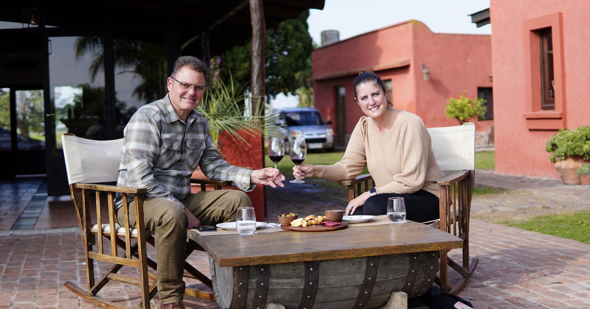 Colonia: Wine Tour (Transfer, Visit, Wine & Cheese Tasting) | GetYourGuide