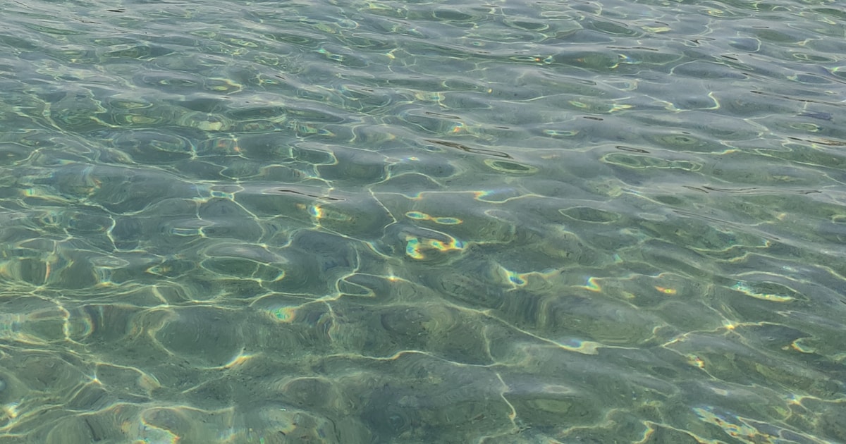 Nadar y relajarse en hermosas playas | GetYourGuide