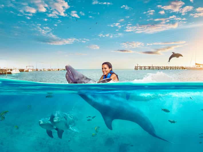 AVENTURA NADAR CON DELFINES ISLA MUJERES | GetYourGuide