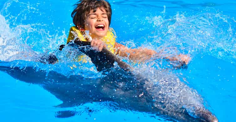 DOLPHIN SWIM ADVENTURE ISLA MUJERES | GetYourGuide