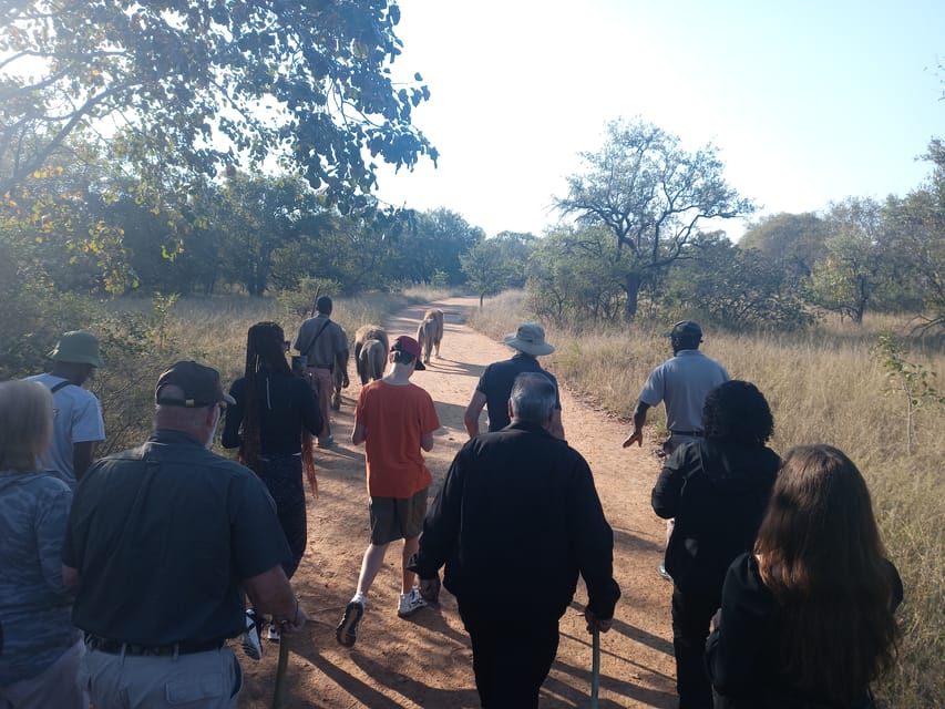 70 Top Activities in Pretoria (2025) with Reviews