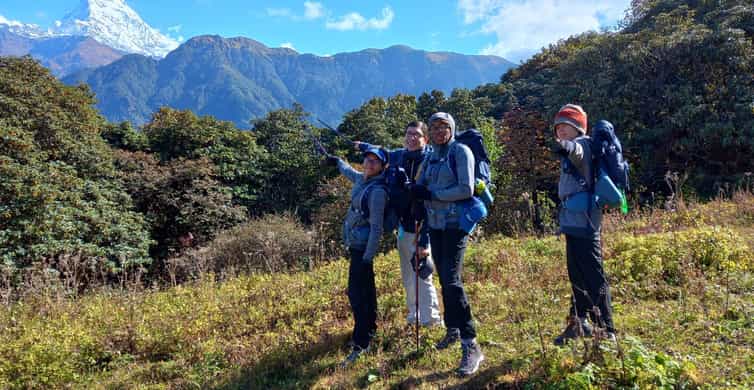 The BEST Australian Camp Trail head, Dhampus Activities 2023 - FREE ...