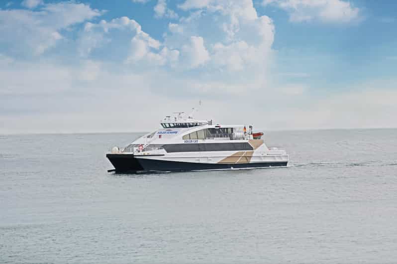 Sylt: Boat excursion to the offshore wind farm | GetYourGuide