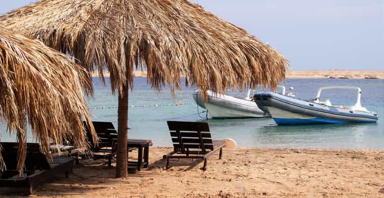 Hurghada : Sharm El Naga National Park water turtle house | GetYourGuide