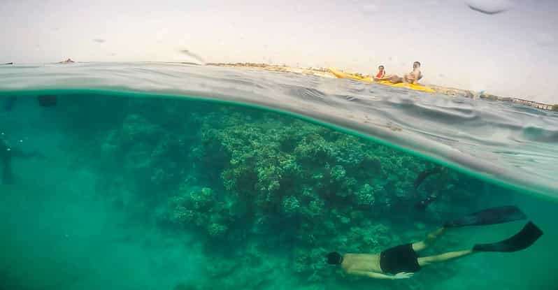 Hurghada : Sharm El Naga National Park water turtle house | GetYourGuide