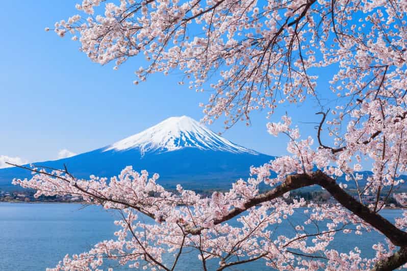Mt. Fuji, Panoramic Ropeway & Seasonal Fruits Picking | GetYourGuide