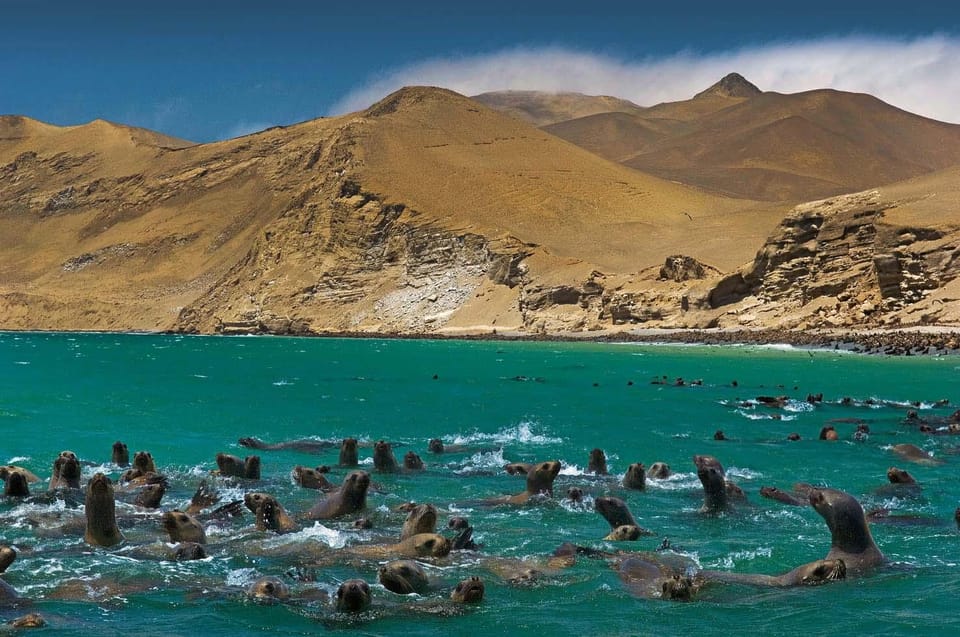 Da Lima | Tour delle isole Ballestas e Huacachina | GetYourGuide