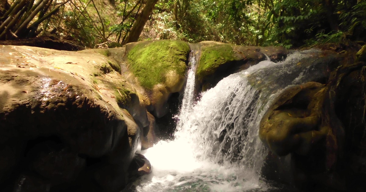 Mayfield Falls and Rick's Café Tour with Transportation | GetYourGuide