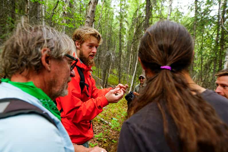 Denali: Naturalist Walking Tour in Denali National Park | GetYourGuide
