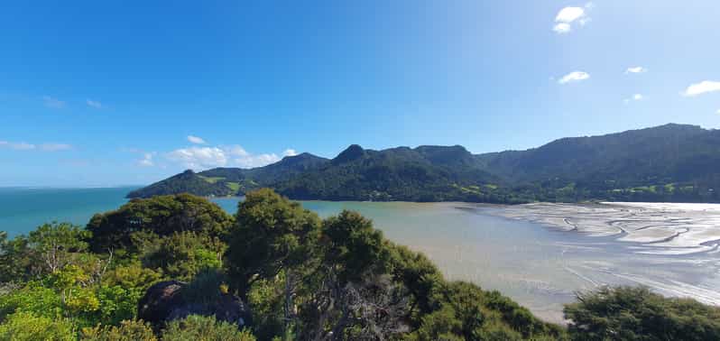 Waitakere Ranges Wilderness Experience Tour from Auckland | GetYourGuide