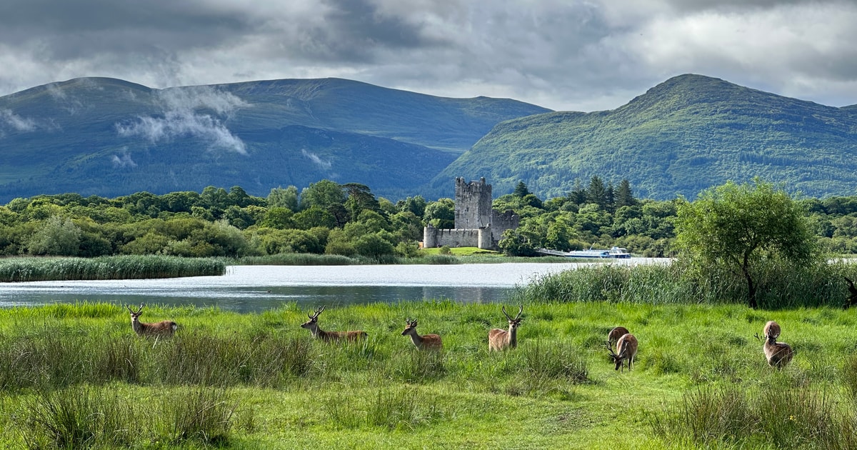 Killarney National Park Tour | GetYourGuide