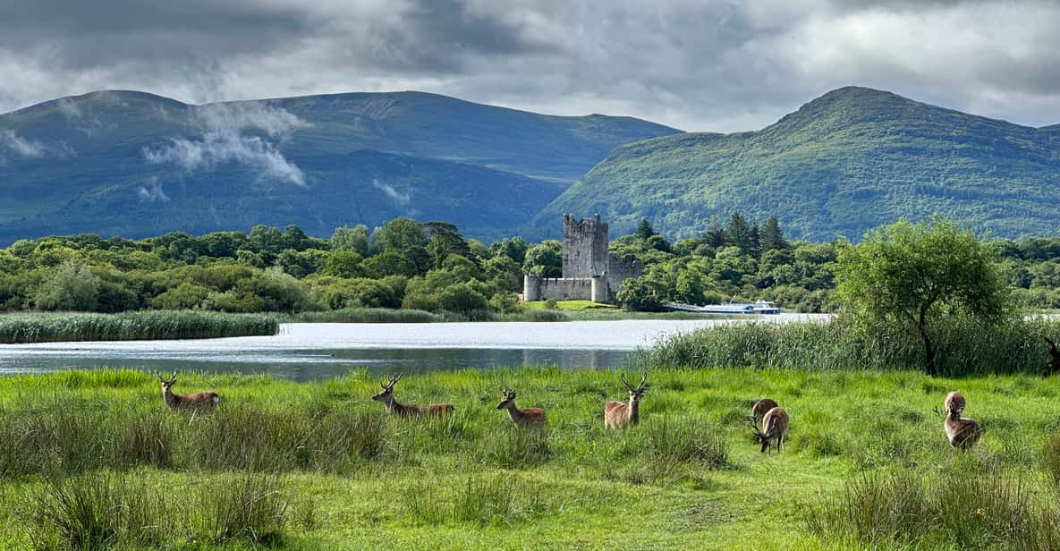 Killarney National Park & Ross Castle Jaunting Car Tour | GetYourGuide