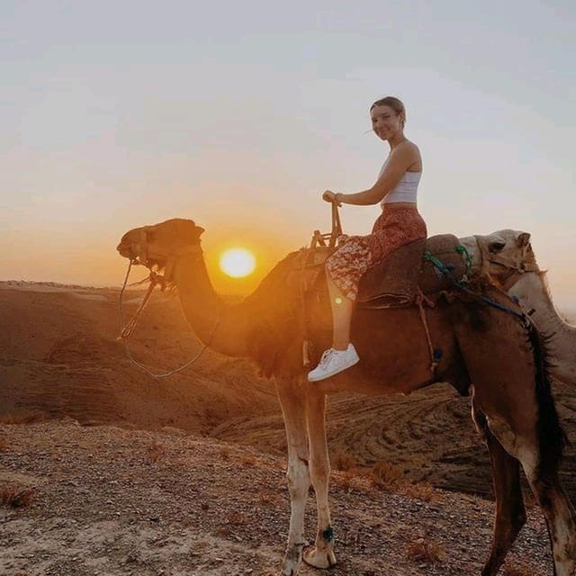 Sun set camel ride in palmerai of Marrakesh | GetYourGuide