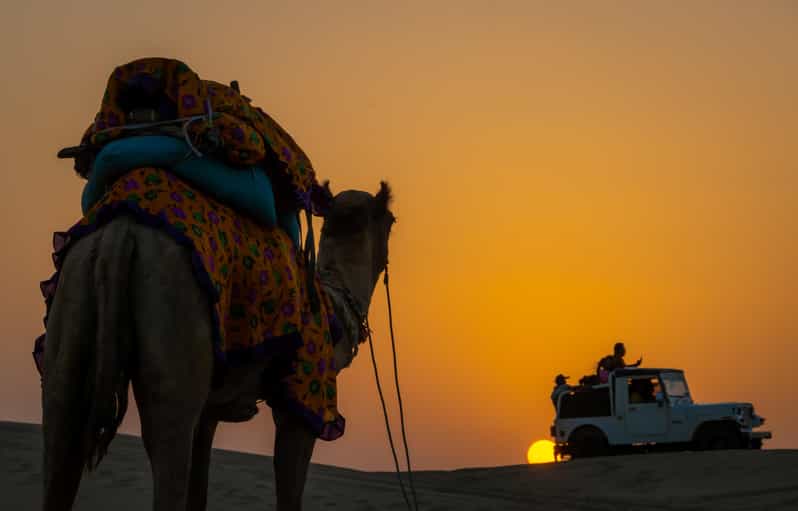 Frenzy Paradise Overnight Desert Camping Tour in Thar Desert | GetYourGuide