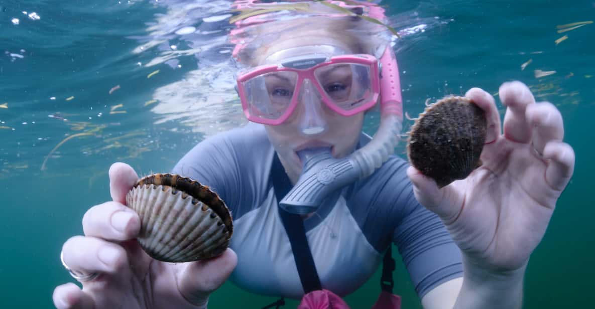 Homosassa: Snorkel & Scallop Hunt in Gulf of Mexico | GetYourGuide