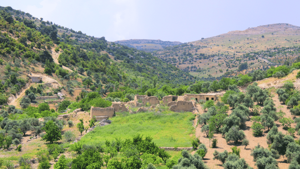 Jerash Ajloun Castle full day trip | GetYourGuide