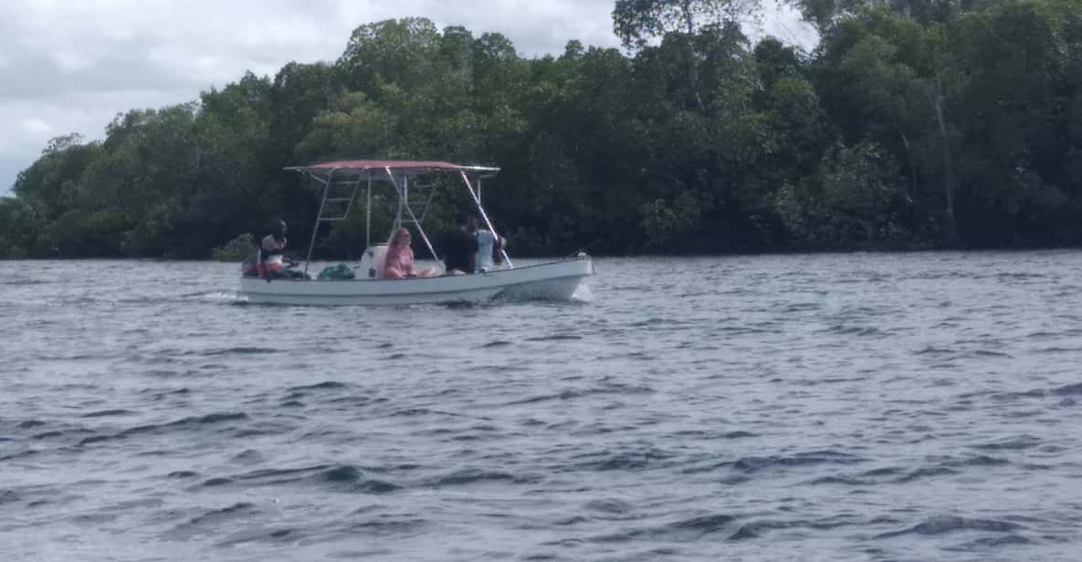 1 Day Wasini Island Dolphin Trip | GetYourGuide
