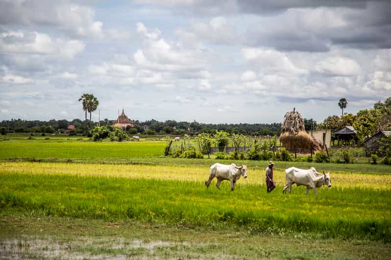 Phnom Penh: Phnom Oudong & Koh Chen Village - Lunch include | GetYourGuide