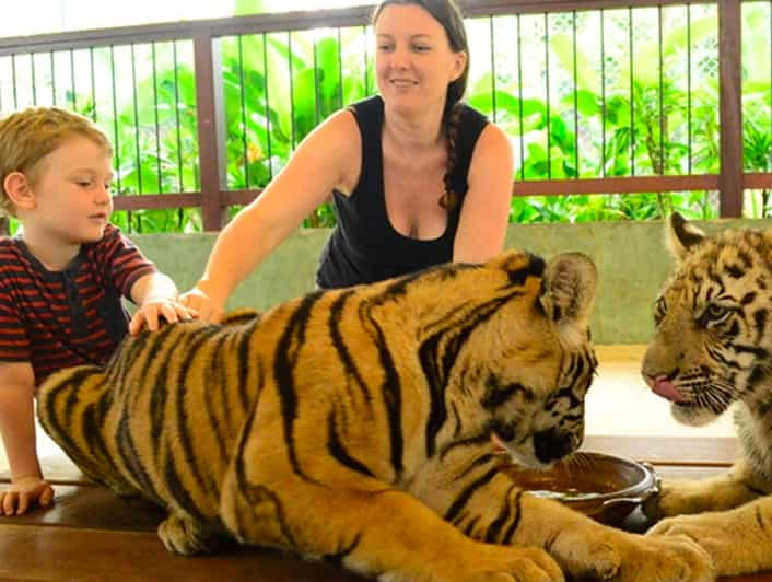 Phuket Sightseeing Tour with Tiger Tour | GetYourGuide