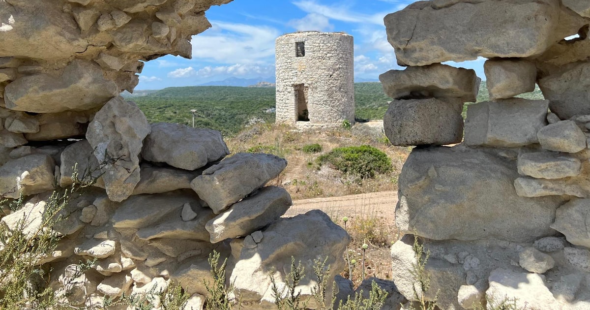 Day Trips in best Corsican destinations: Cap Corse, Piana... | GetYourGuide